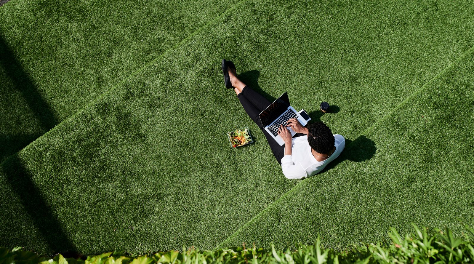 About - Pegasus Park